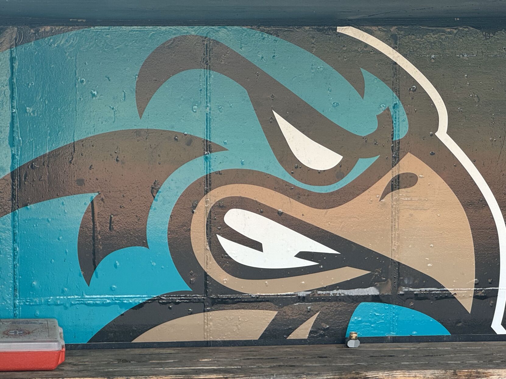 What's a Chanticleer? Here's the story behind CCU's mascot.