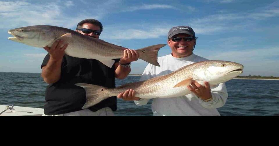 Spot-tail Bass - a fish of many names | Opinion | postandcourier.com