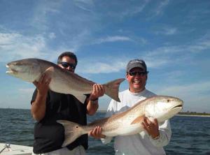Spot-tail Bass - a fish of many names