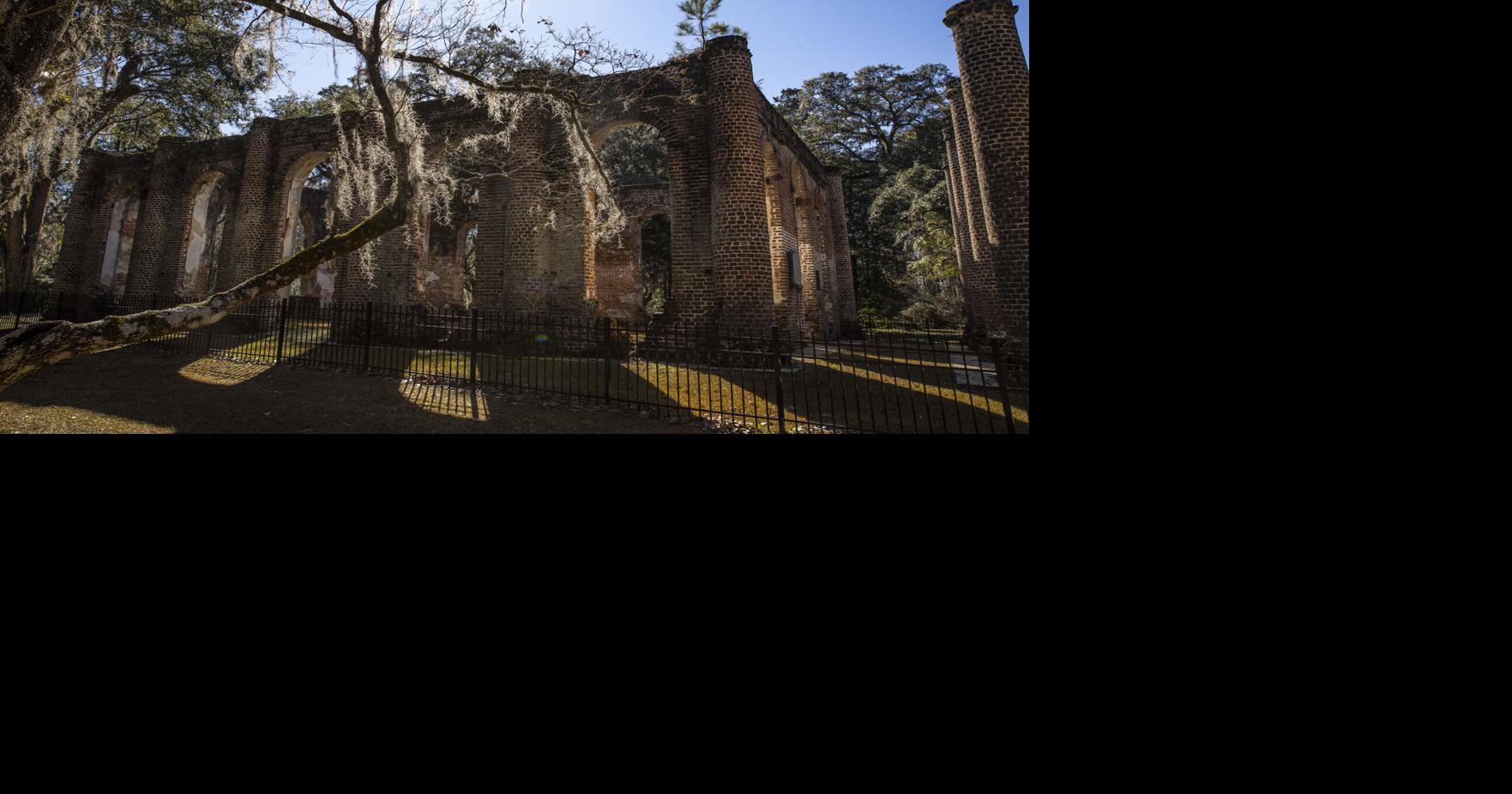 512 more acres permanently protected at iconic Sheldon Plantation in ...