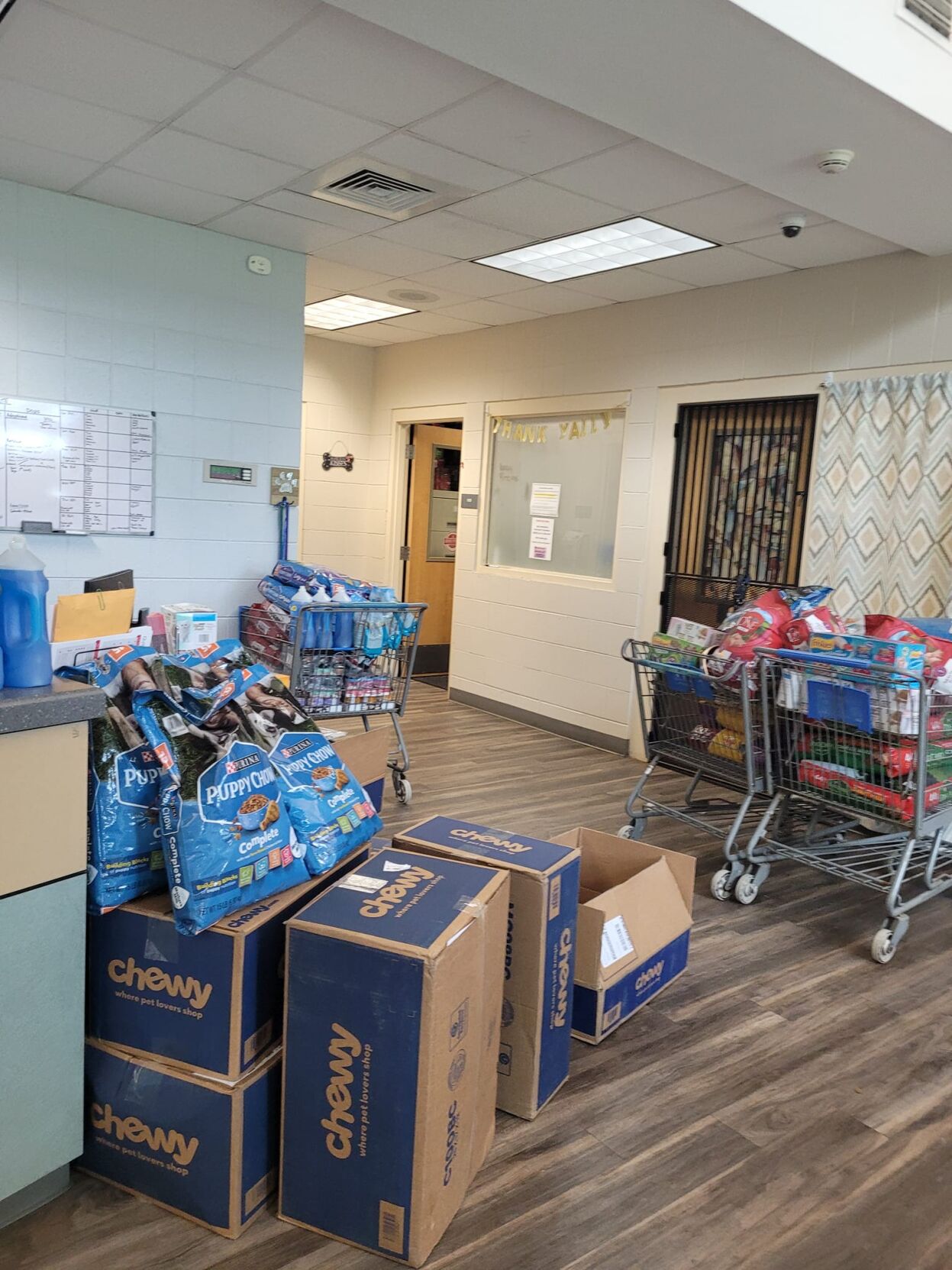 More than 100 pets removed from Fort Mill hoarding house