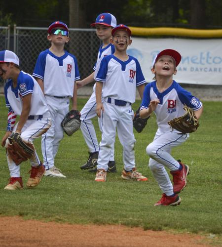 Barrier Islands Little League to build 4 new baseball fields