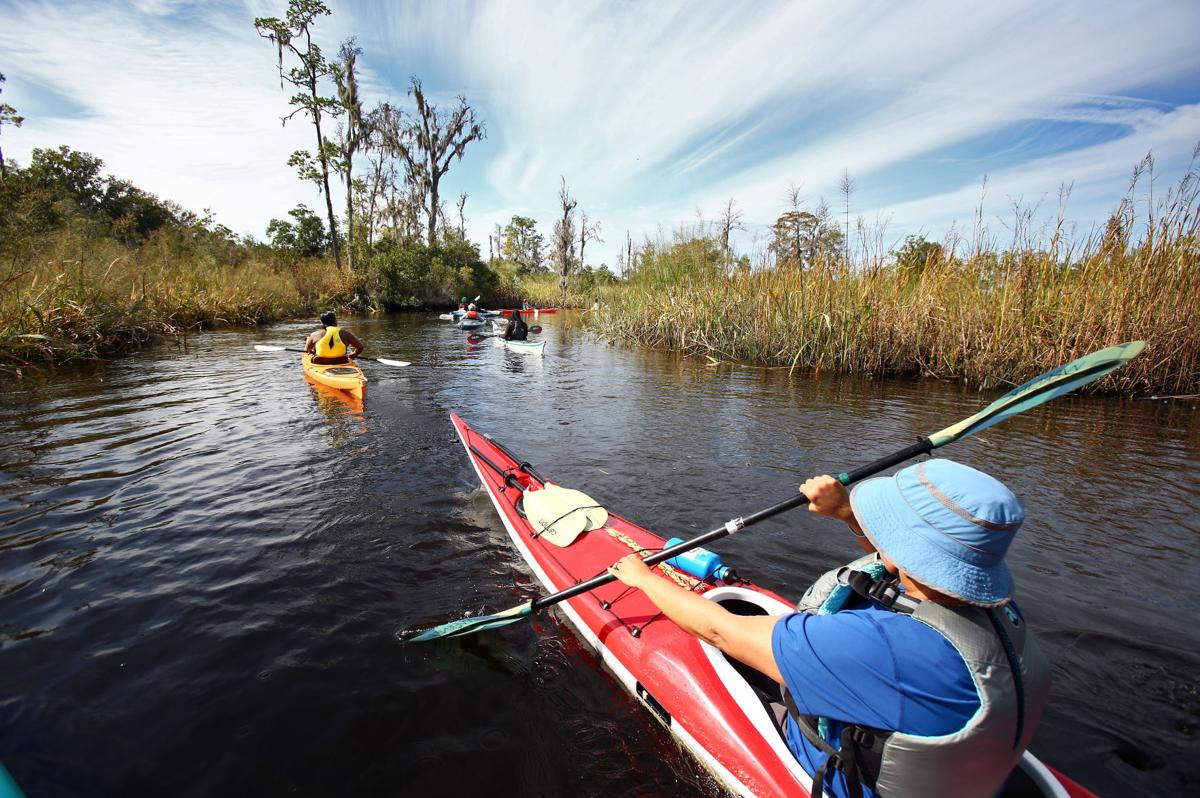 Kayaking the Combahee River in celebration of Harriet Tubman | Photo ...