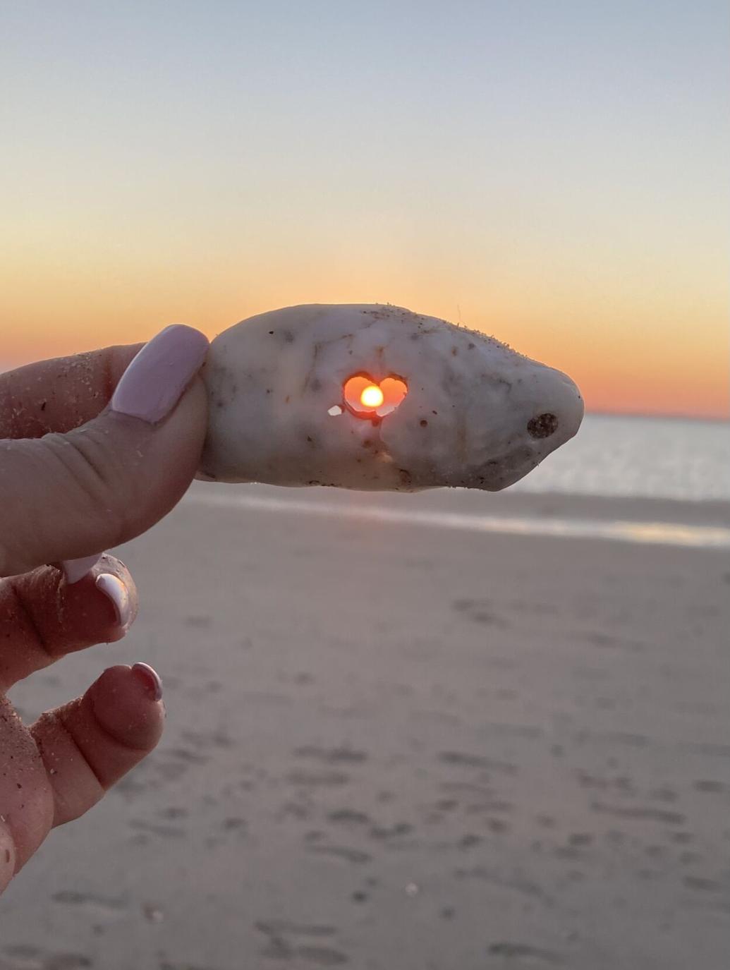 What to do on Edisto Island, South Carolina