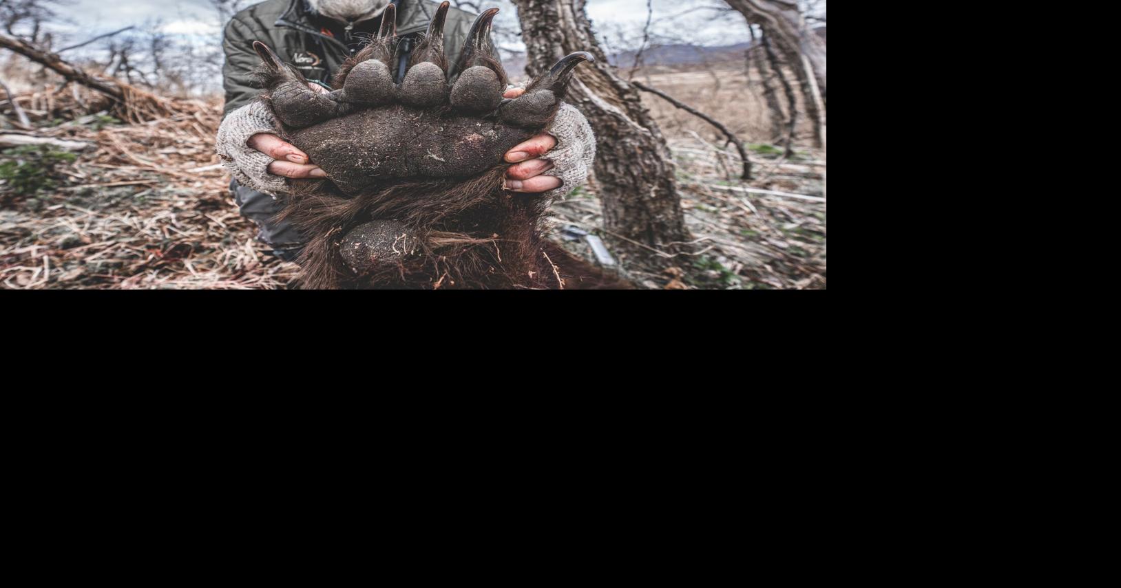 Bear attack survivor to share story | Community News | postandcourier.com