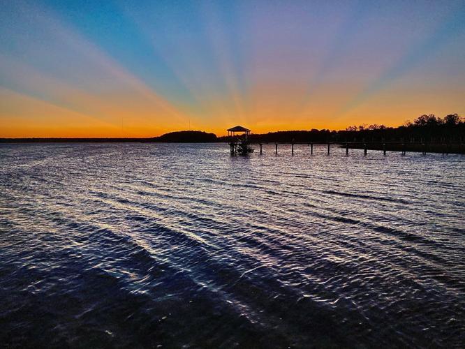 Lowcountry Landscapes Photos of the Week