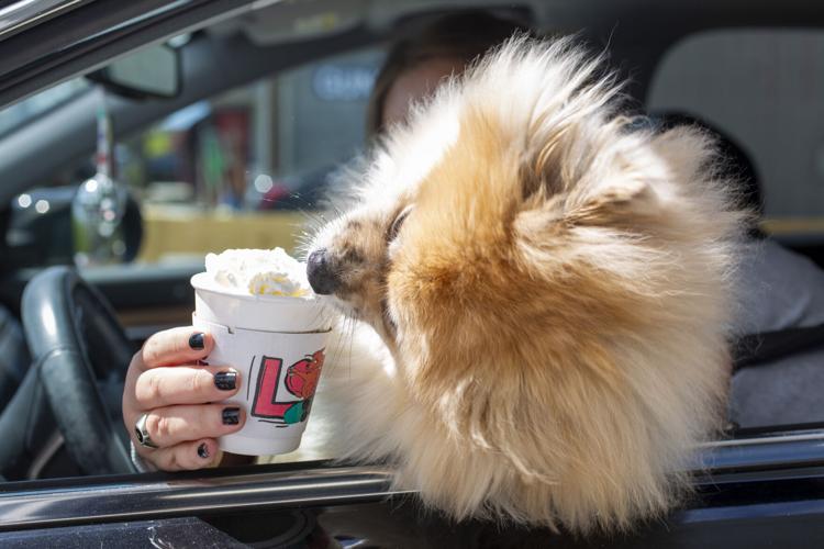 Lodi Coffee opens 2nd SC drive-thru shop in Mount Pleasant