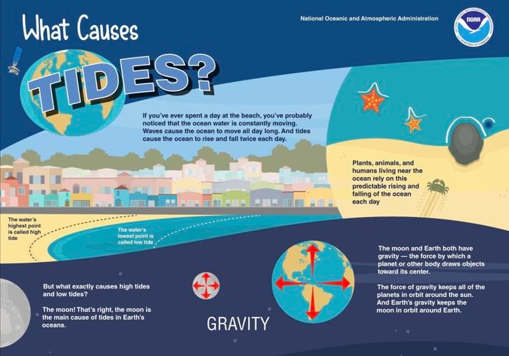 Coastal Living: Teaching kids about tides is important in the Lowcountry