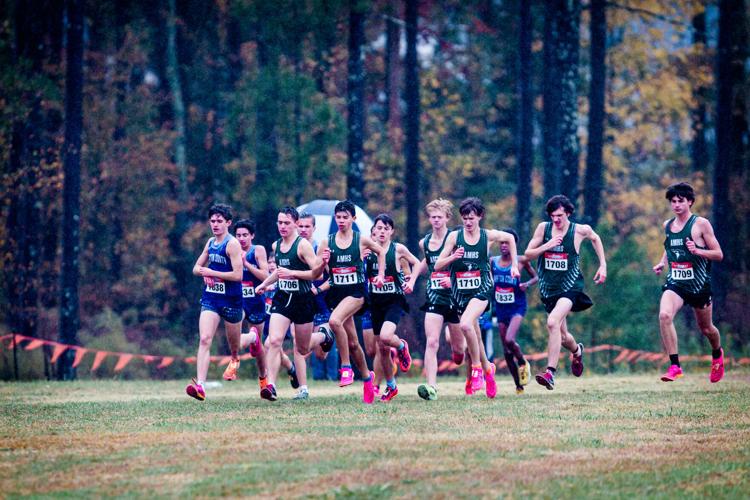 Swanton crowned SC cross country champ