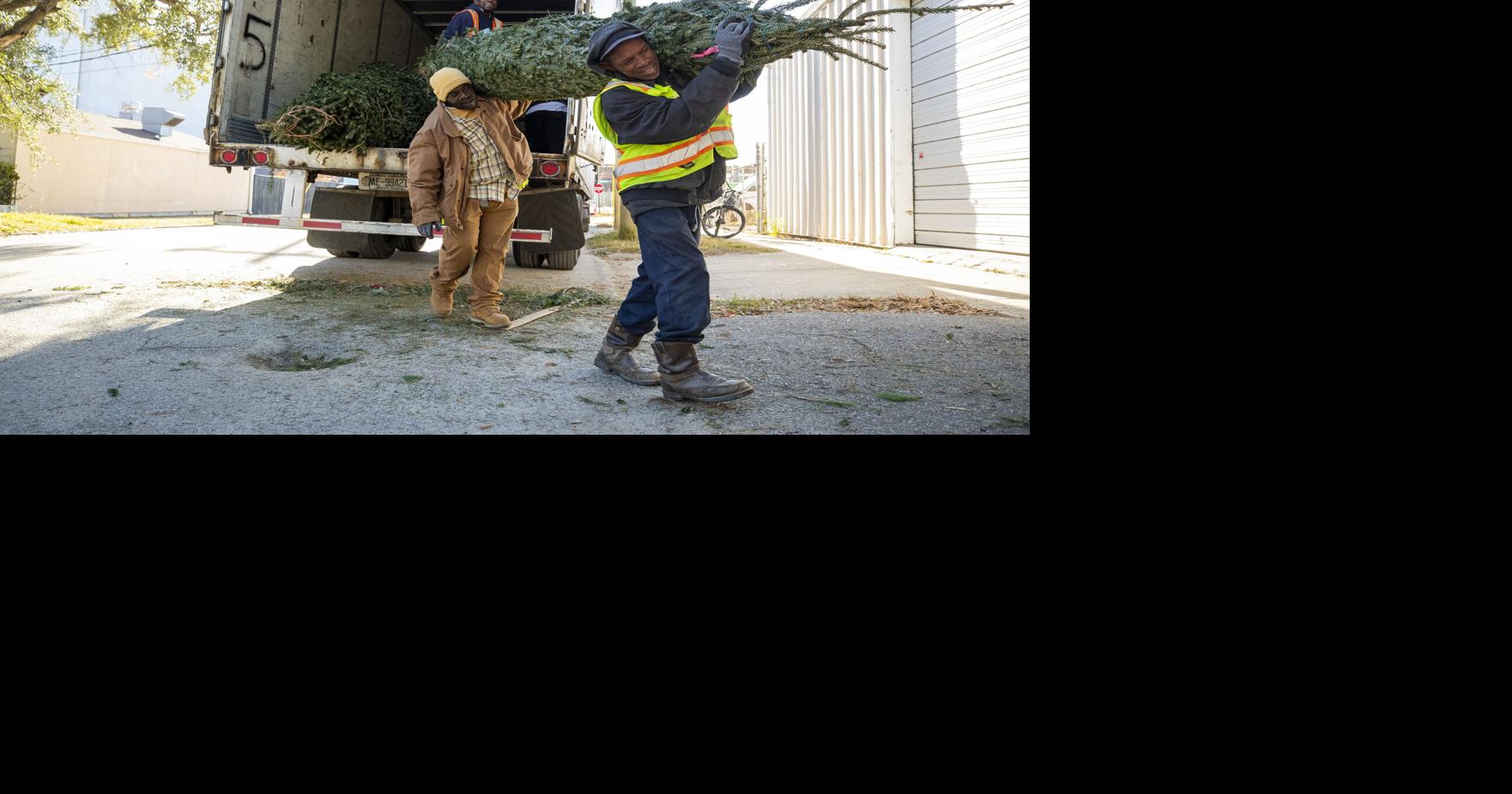 Where to get rid of Christmas trees in Charleston area