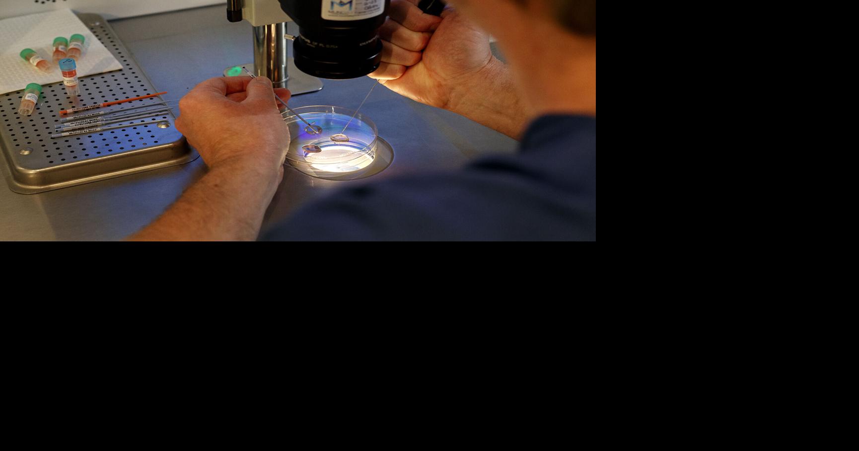 SC providers concerned about ruling embryos as children