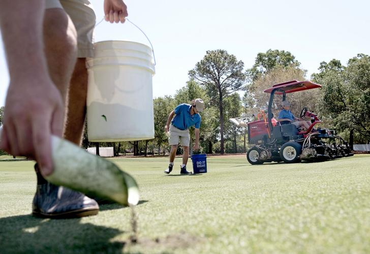 SC college is behind the best golf courses, MLB turfs in US