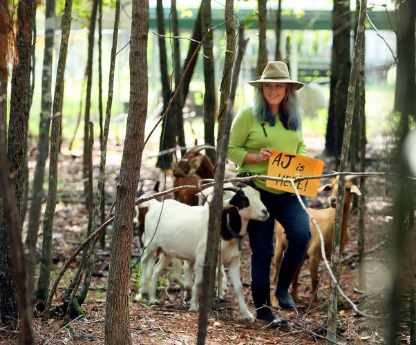 42 food-and-beverage recommendations from people who know Charleston ...