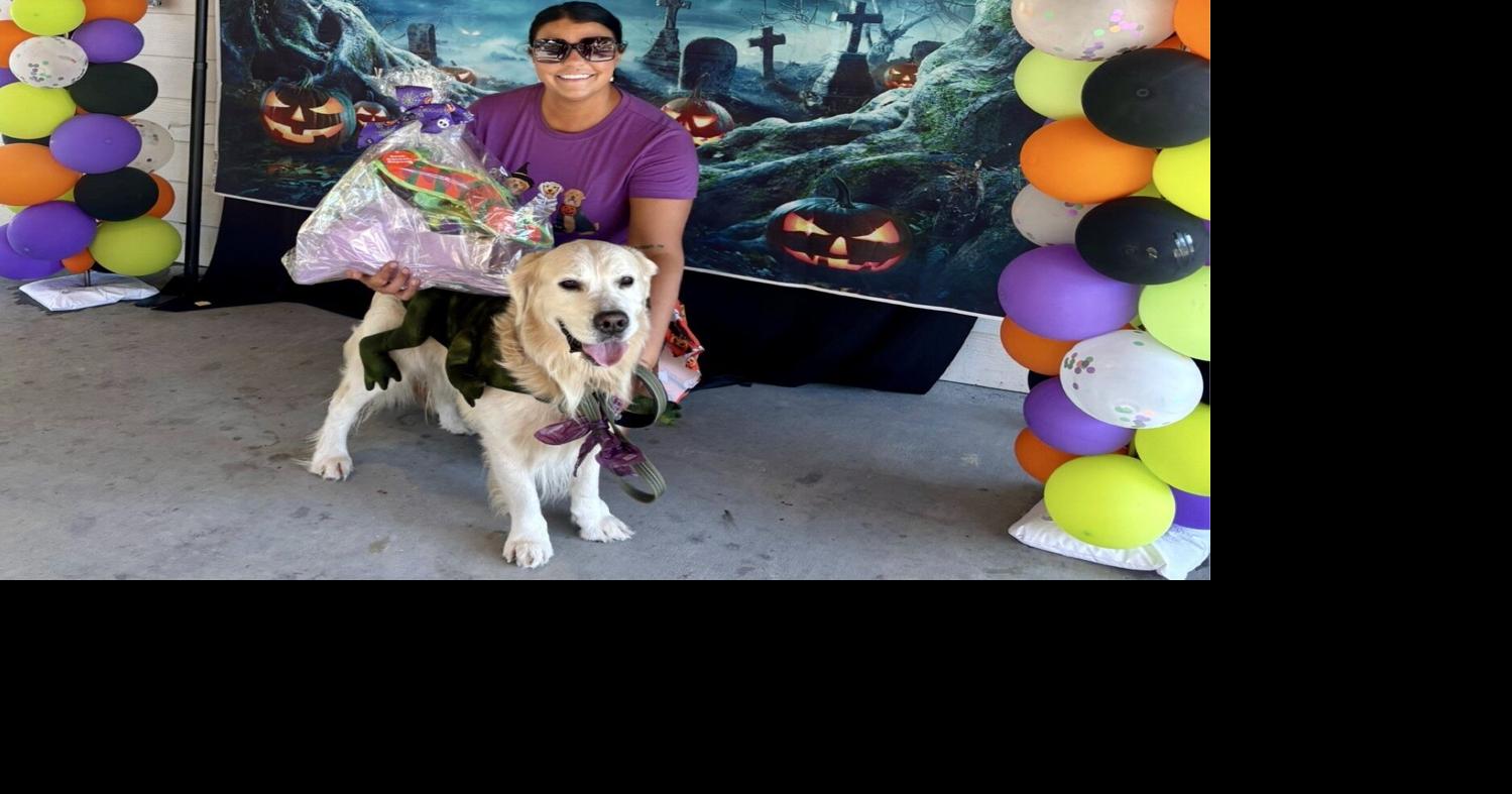 A paws-itively perfect celebration