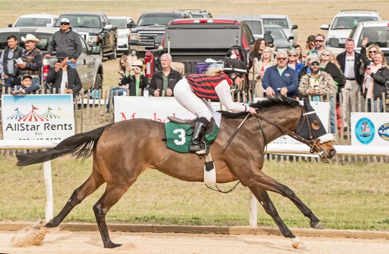Aiken Trials returning Saturday to kick off Aiken Triple Crown after ...