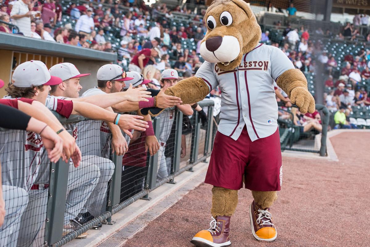 College of Charleston baseball defeats South Carolina | Multimedia ...