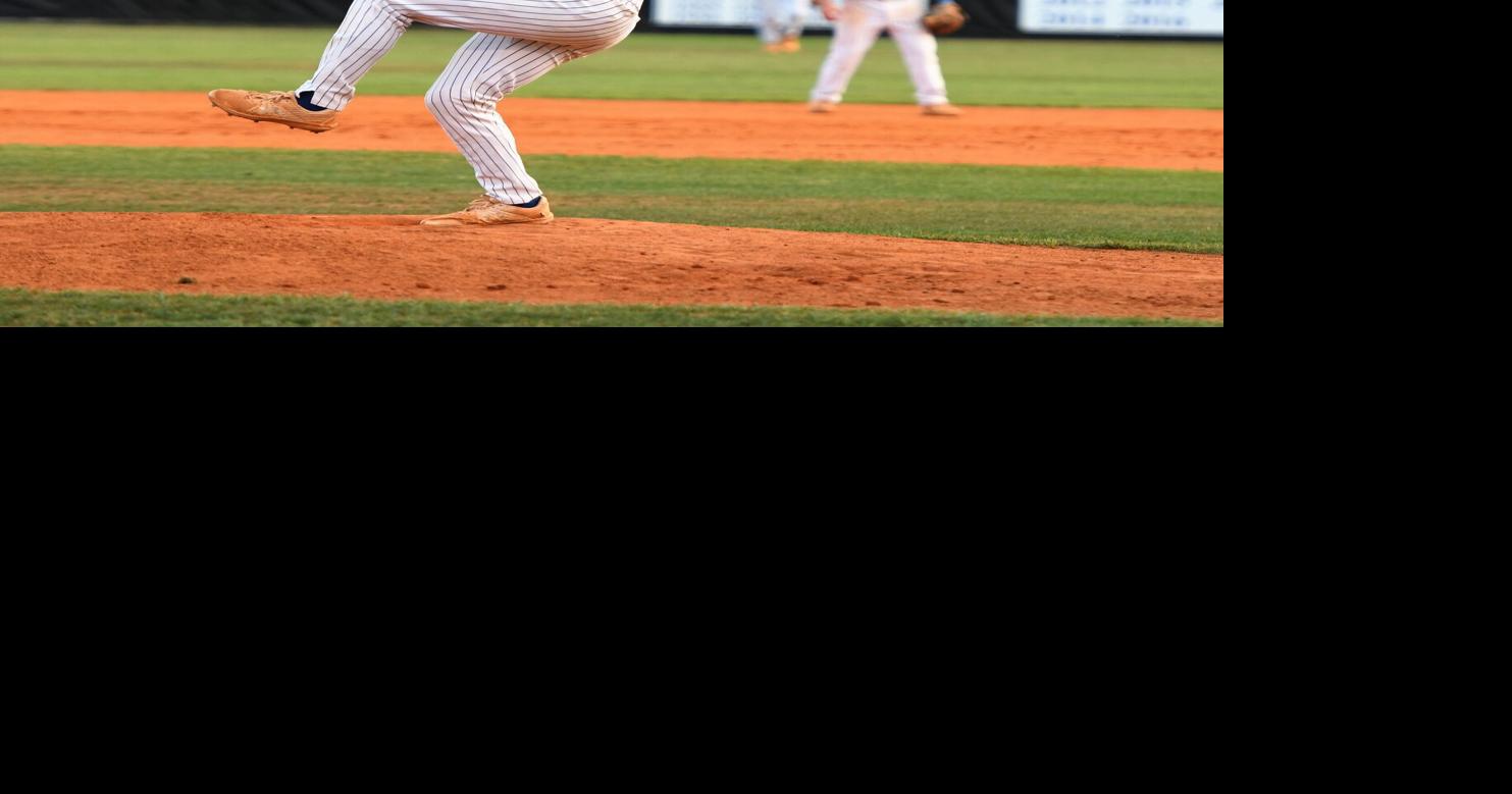 Stags, Hawks, Iron Horses claim baseball district championships | Prep ...