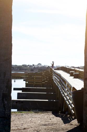 A Walk in the Park: Pitt Street Bridge Park and Alhambra Playground