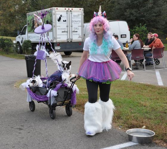 Barkaritaville party raises funds for SPCA