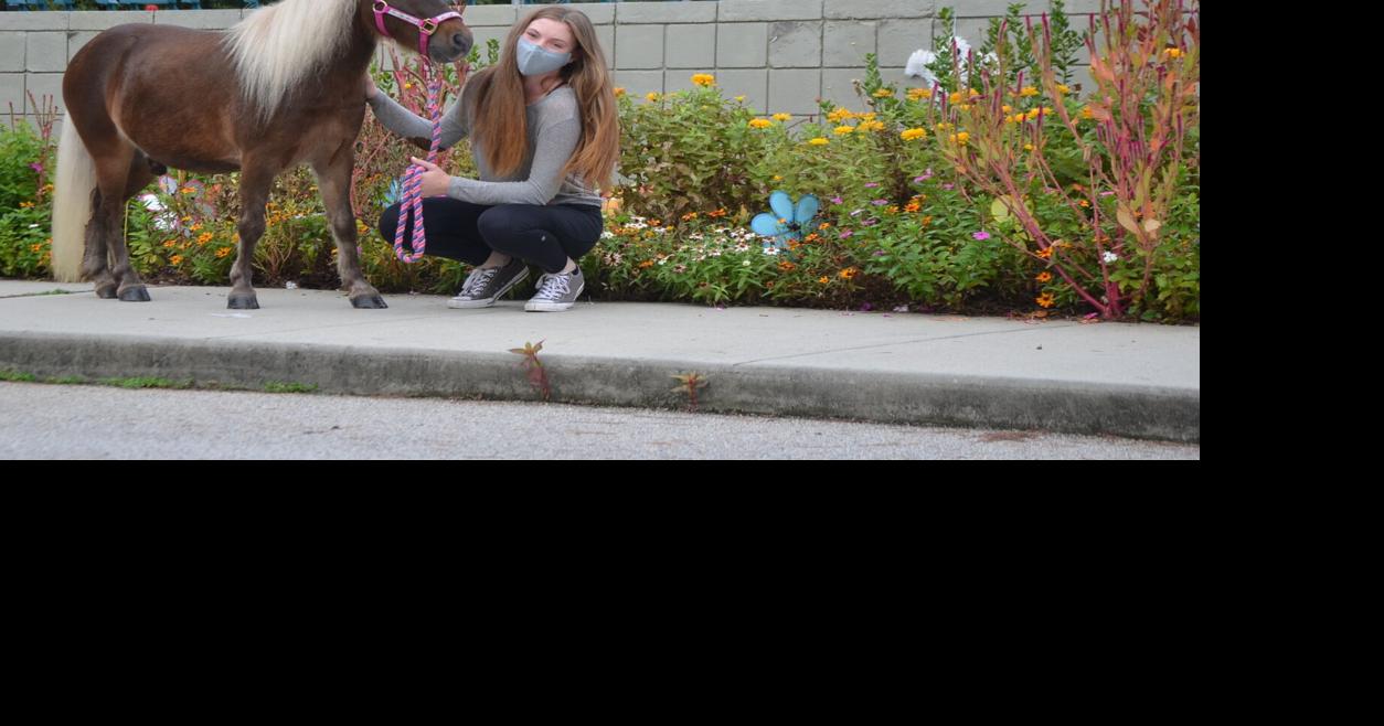 Local teen and her mini horse visit Aiken animal shelter to raise ...
