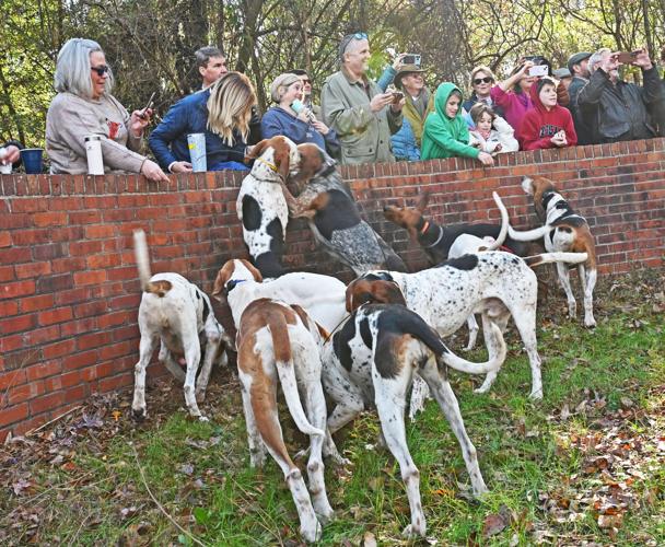 Blessing of Hounds ceremony returns to Hitchcock Woods