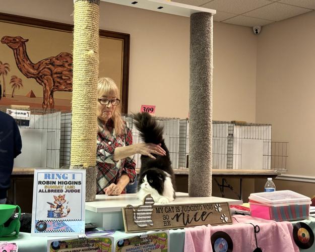 Cattyshack Cats hosts first cat show of the year