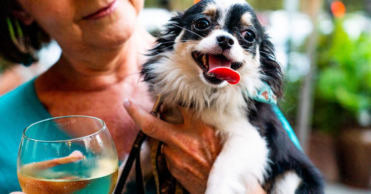 Towne Centre spring lineup