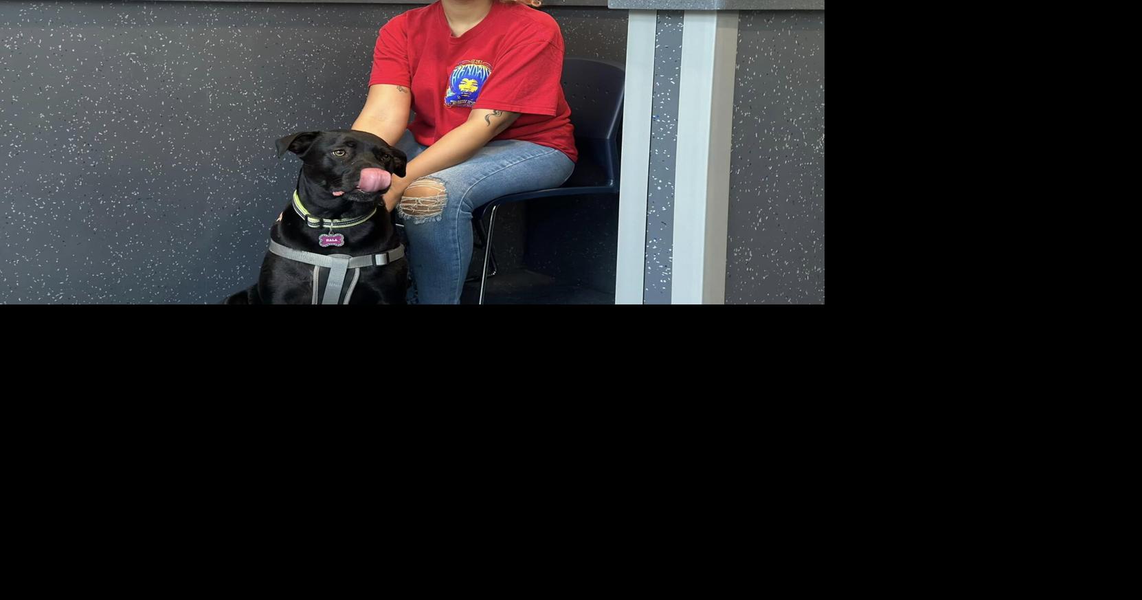 SPCA Albrecht Center offers tips for adopting a dog