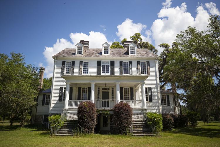 Photos: Inside the Wedge Plantation