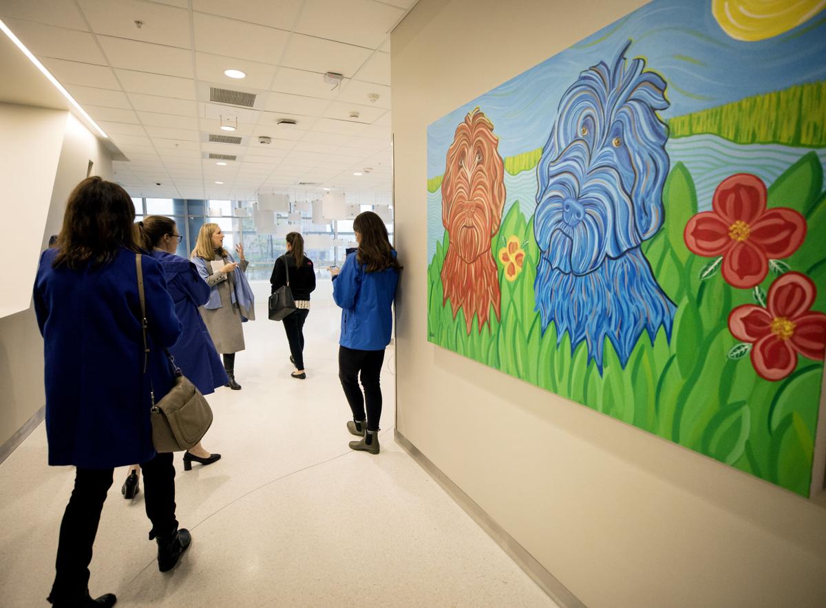 At the new MUSC Shawn Jenkins Children's Hospital, the artwork is part ...
