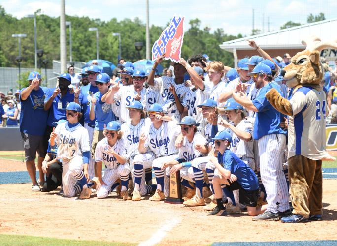 Stags capture 1st state championship in baseball