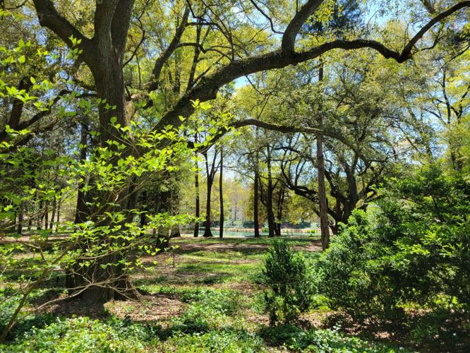 Historic markers for Aiken's Hopelands Gardens and Rye Patch