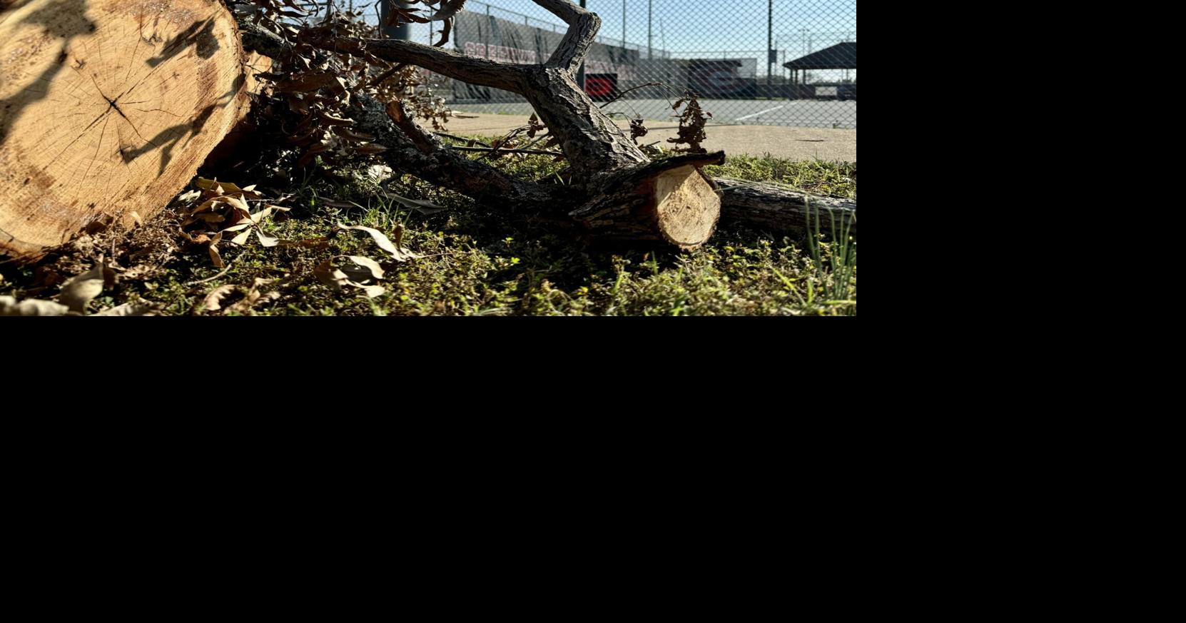 Where is all the Hurricane Helene debris going?