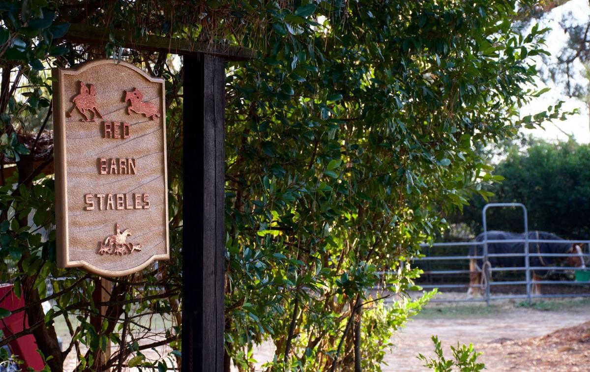 Red Barn Stables owner suing Aiken over alleged flooding issues