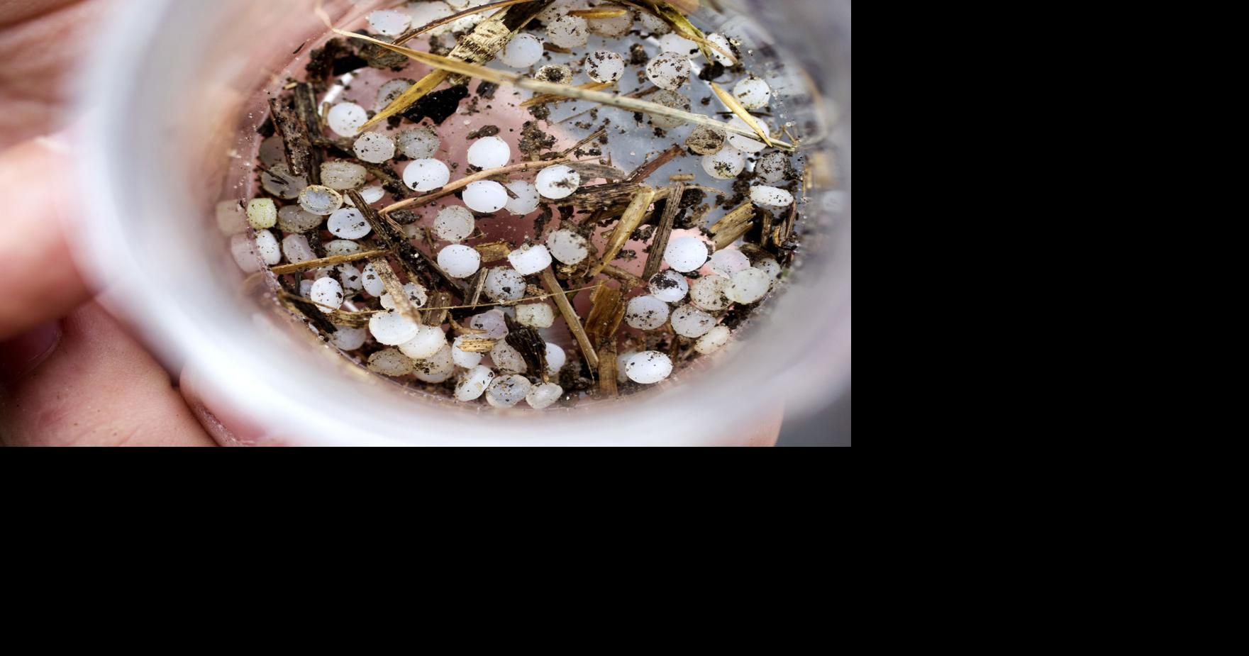 Charleston Waterkeeper intends to sue over plastic pollution