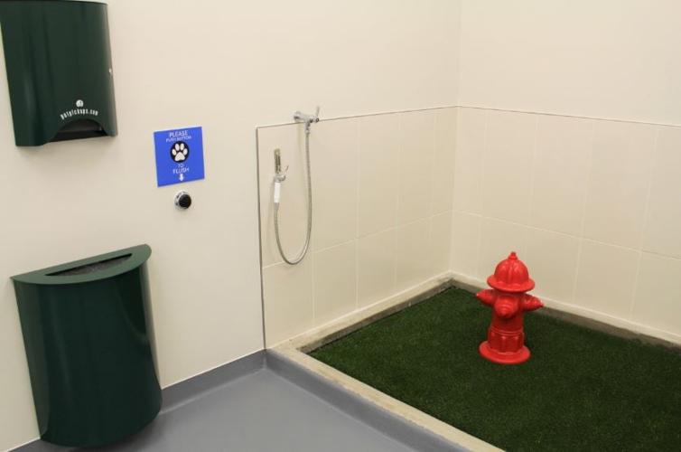 Charleston airport's pet project comes as a relief to four-legged travelers