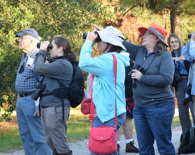 Augusta-Aiken Audubon Society offers adventures in birding and nature