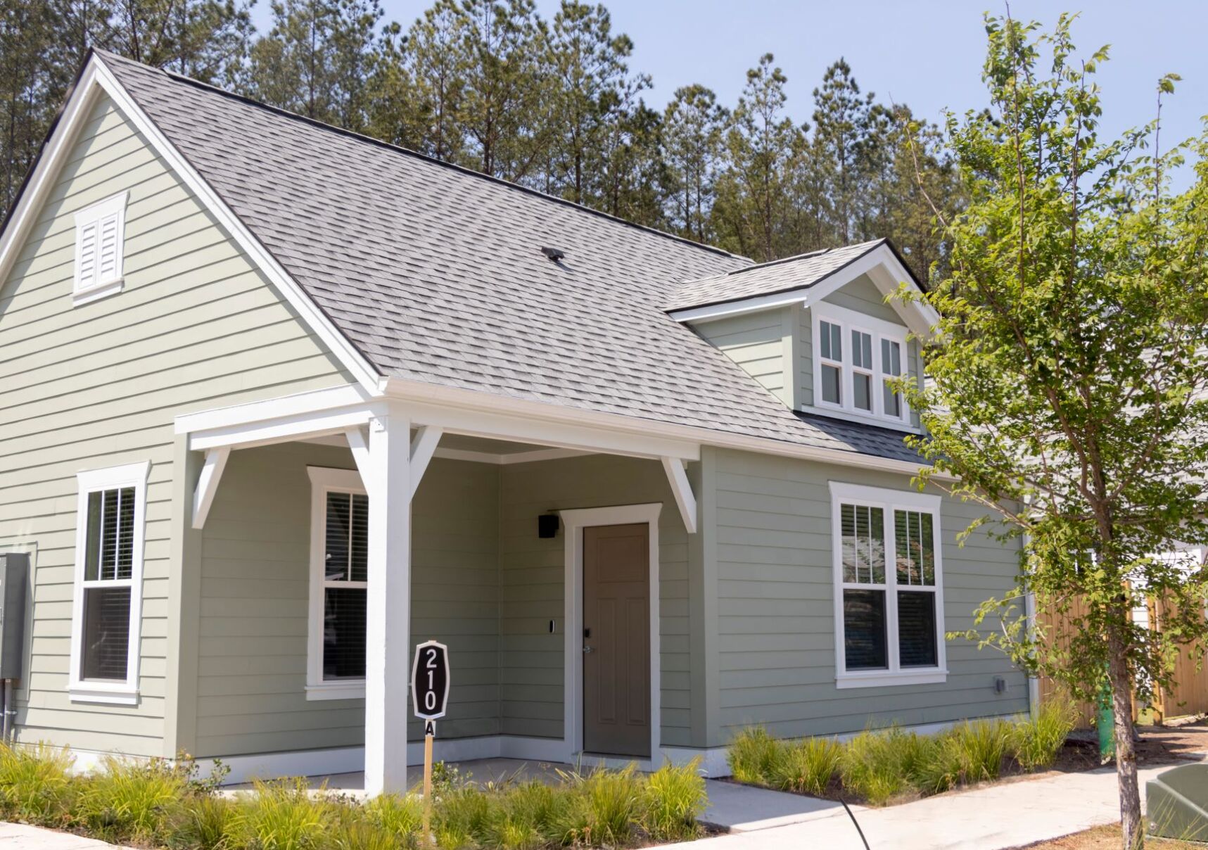 Build-to-rent community in Berkeley County megadevelopment now pre ...