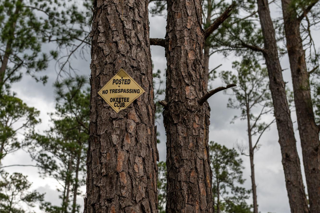 How did this canal transform the southern Lowcountry?