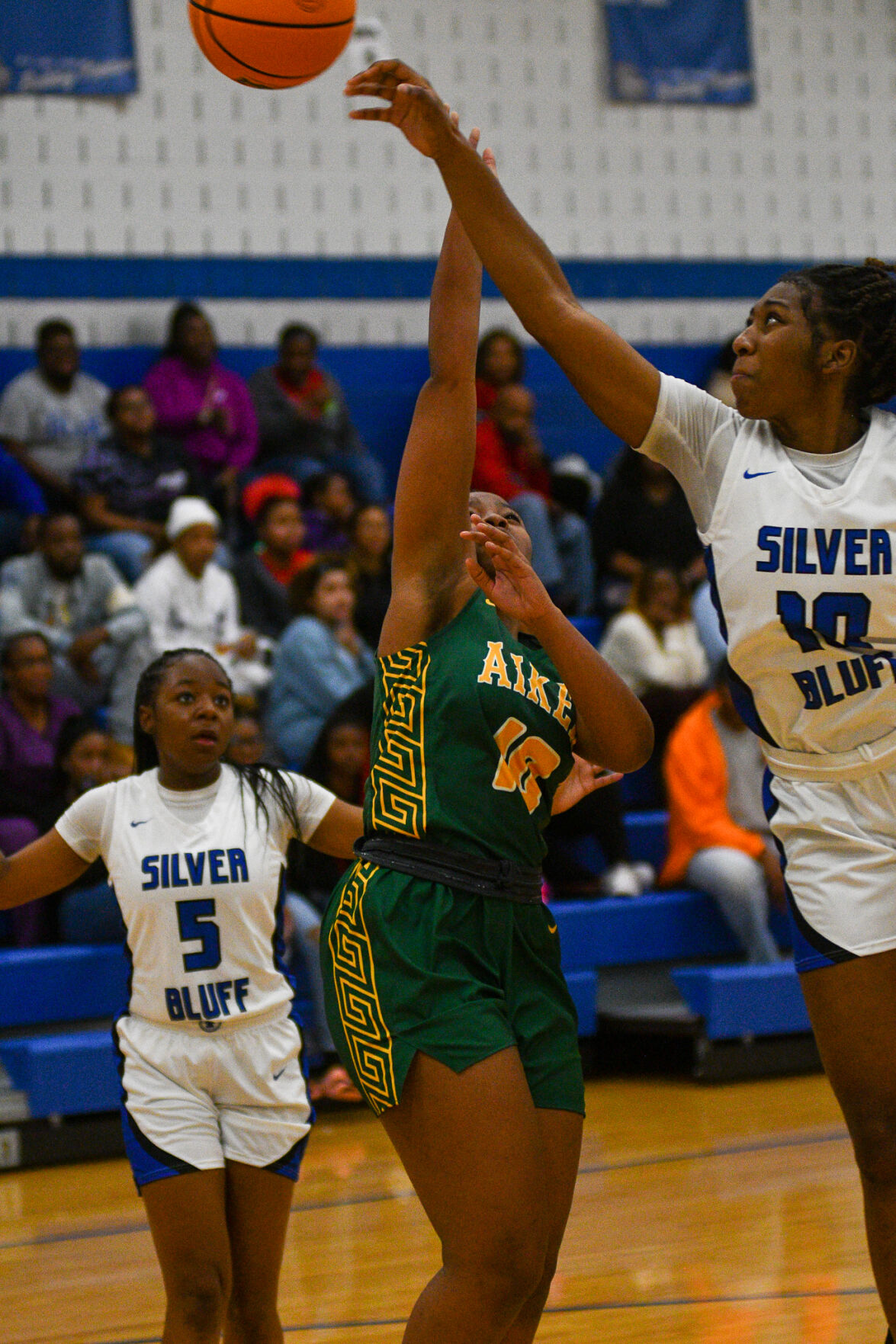 Silver Bluff girls again have high expectations | Sports ...