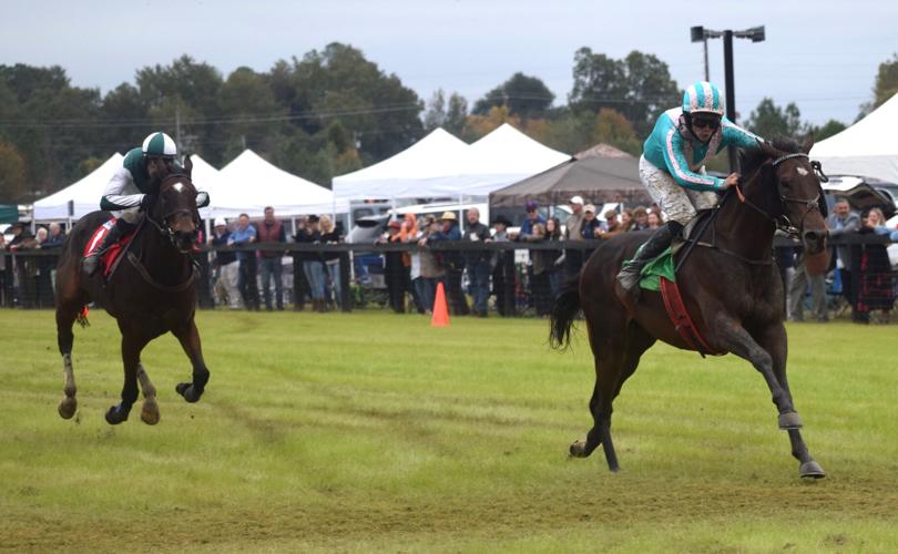 Topic Changer returns to Aiken to seek more glory in Aiken Spring ...