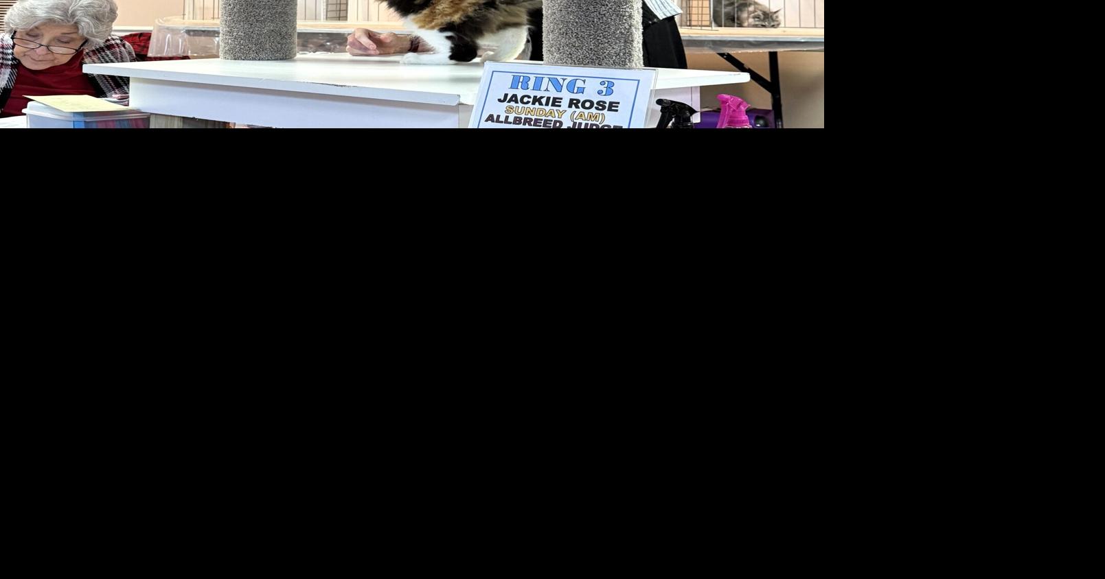 Today’s events for Jan. 24