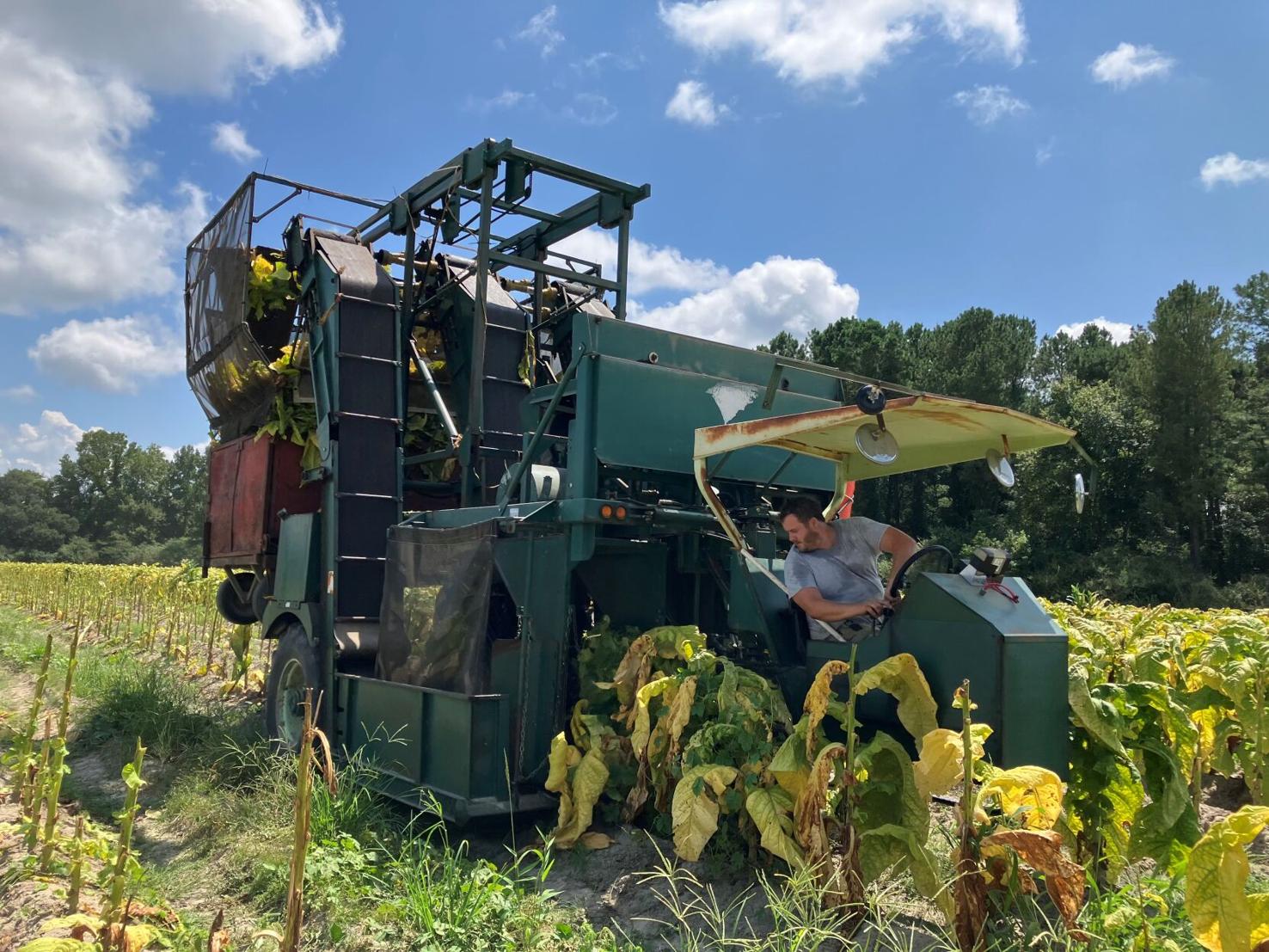 What is the Pee Dee, South Carolina's northeastern region?