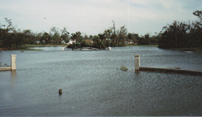 Your pictures from Hurricane Hugo