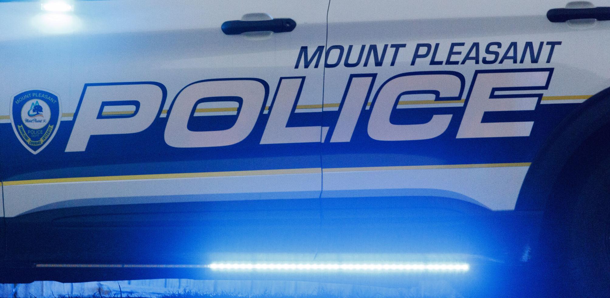 Ravenel Bridge closed briefly in Mount Pleasant