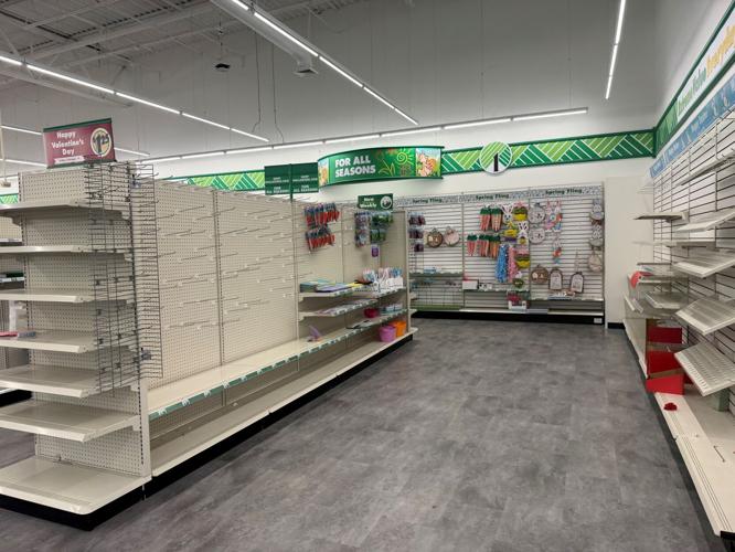 New Dollar Tree store opens in Charleston across from Target