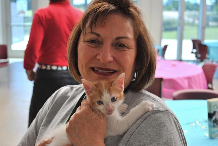 ANIMAL CONNECTION: SPCA Albrecht Center in need of volunteers ...
