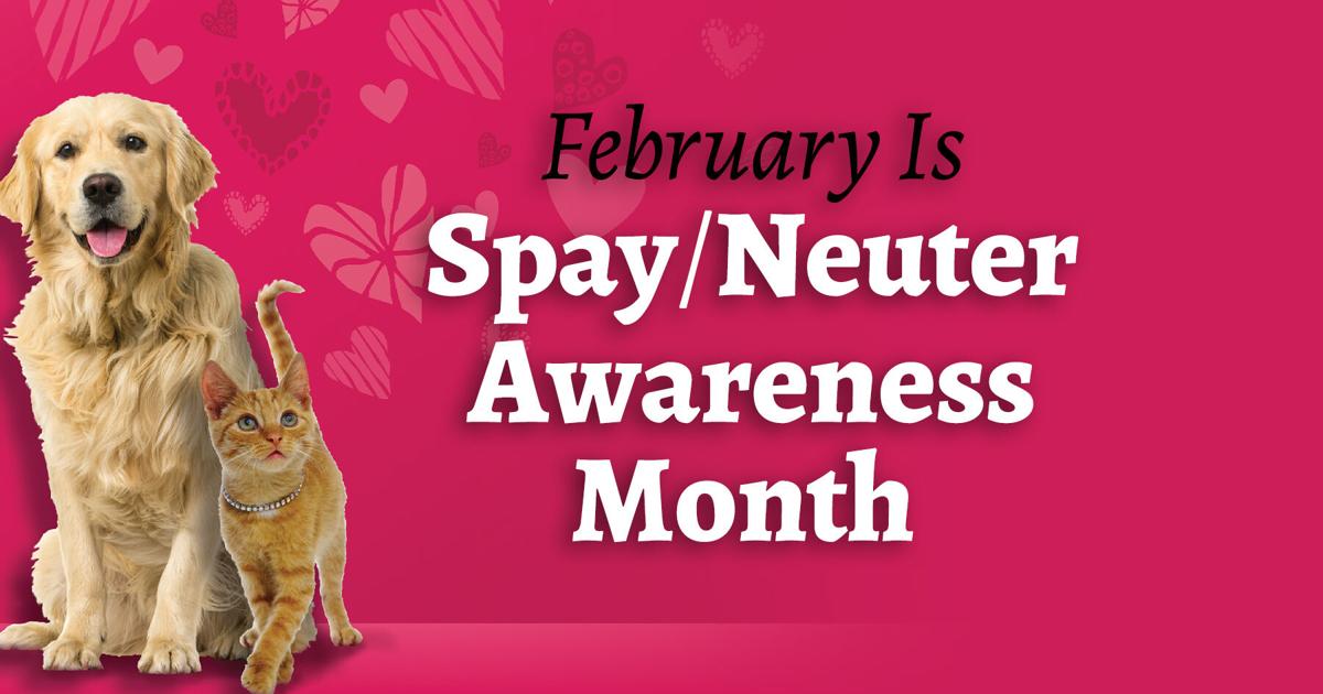 ANIMAL CONNECTION: February is a month of love. responsibility for pet ...