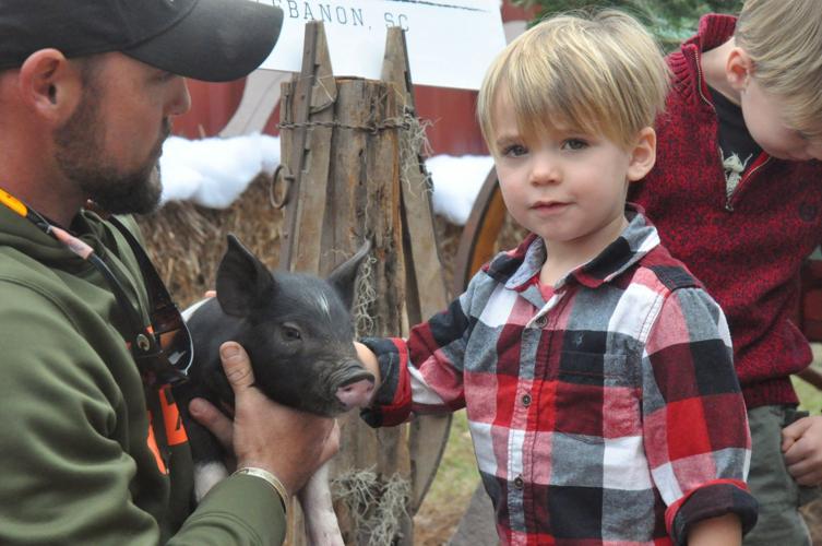 A Lebanon family tradition: Christmas tree farm one of the last of its ...