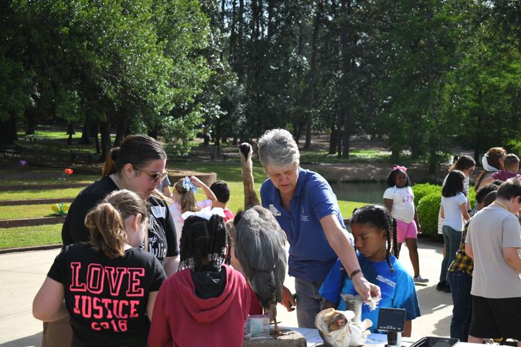 Science Center program makes Hoplands Gardens a classroom